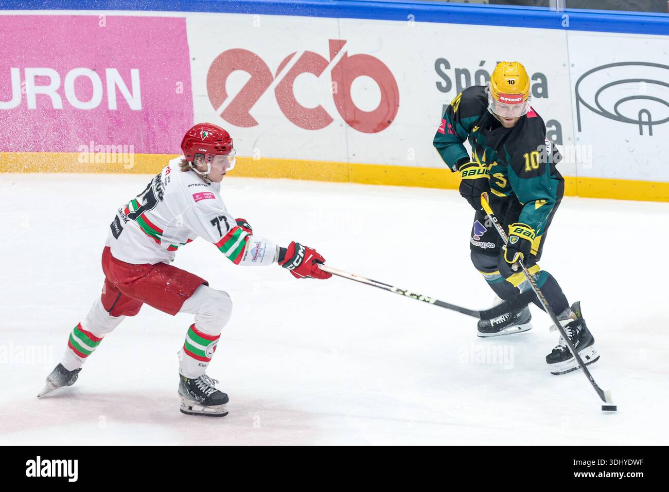 23.01.2026, Sosnowiec Mecz Tauron Hokej Liga sezon 2025/26 ECB Zaglebie ...