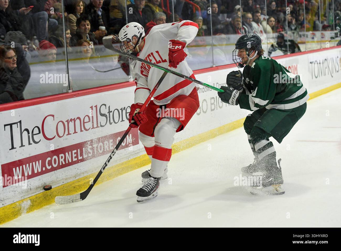 Cornell defenseman Hoyt Stanley, left, shields the puck from Dartmouth ...