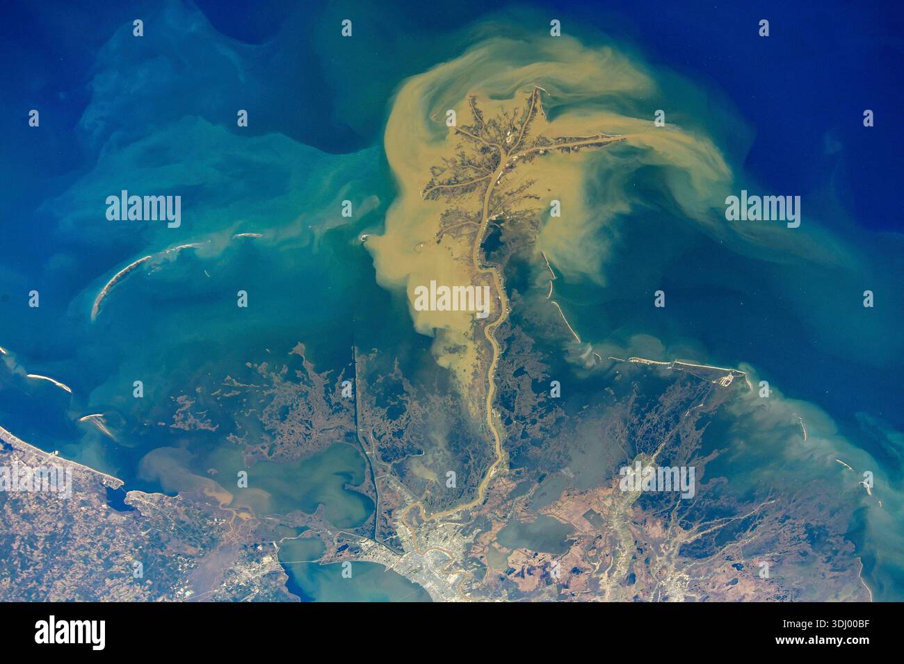 A massive cloud of sediment from the mouth of the Mississippi River ...