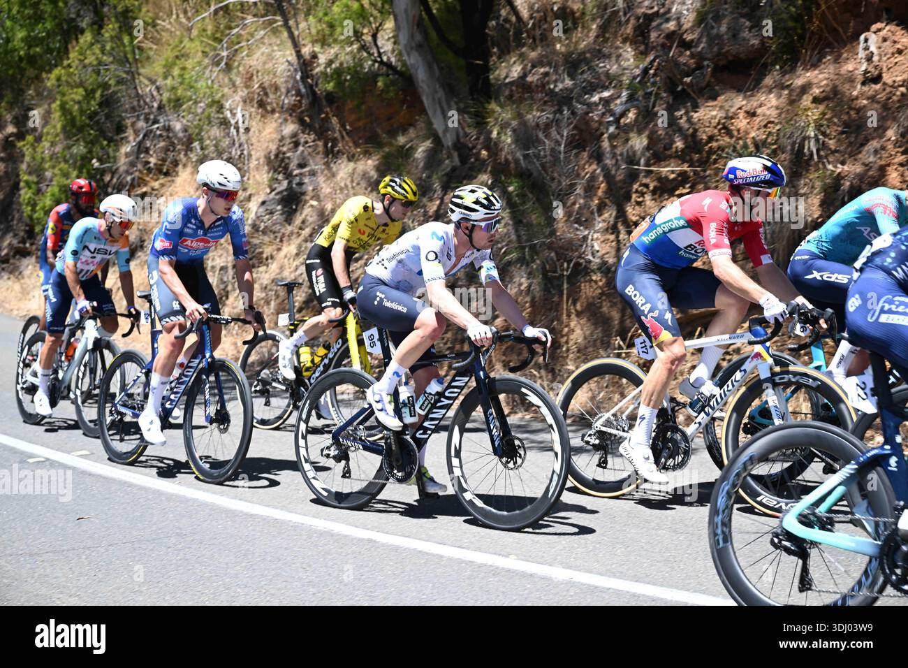22-01-2026 Tour Down Under; Tappa 02 Norwood - Uraidla; 2026, Movistar ...
