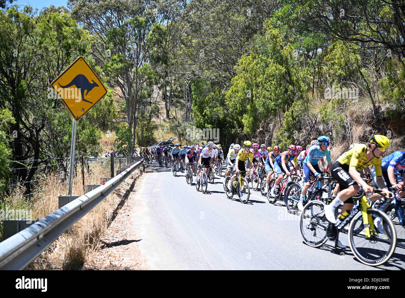 22-01-2026 Tour Down Under; Tappa 02 Norwood - Uraidla; 2026, Visma ...