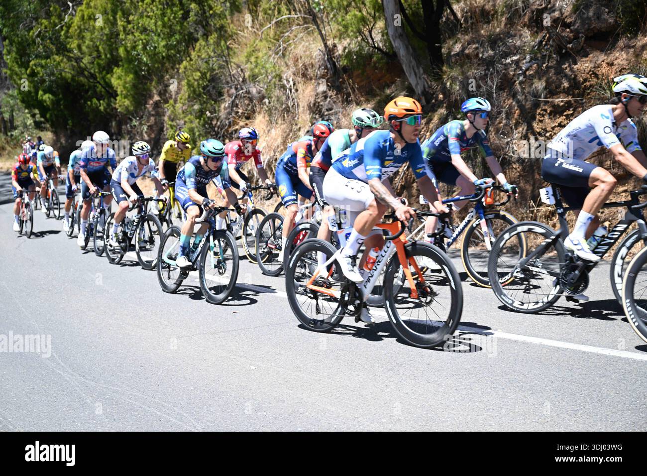 22-01-2026 Tour Down Under; Tappa 02 Norwood - Uraidla; 2026, Ineos ...