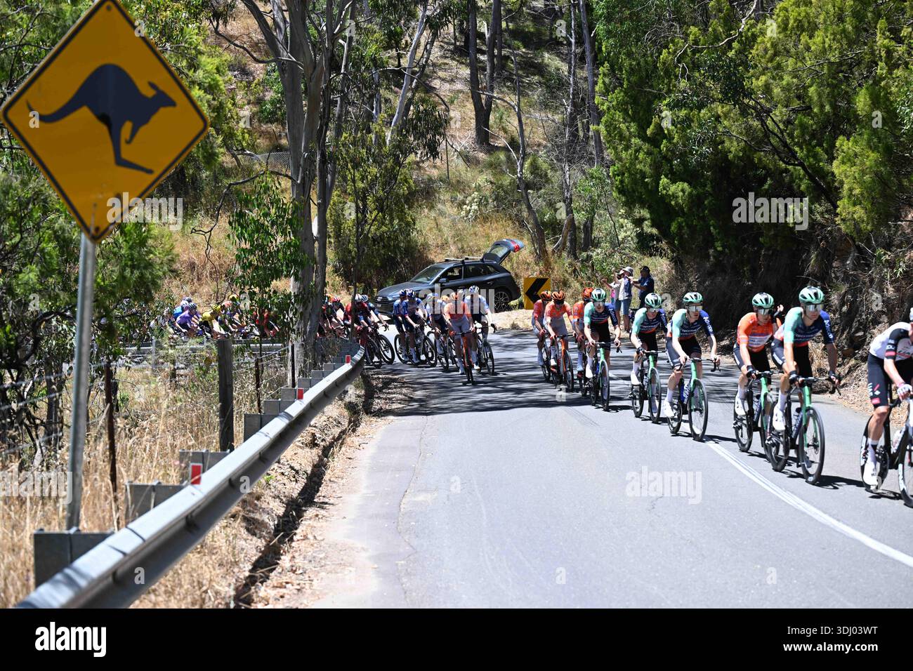 22-01-2026 Tour Down Under; Tappa 02 Norwood - Uraidla; 2026, Decathlon ...