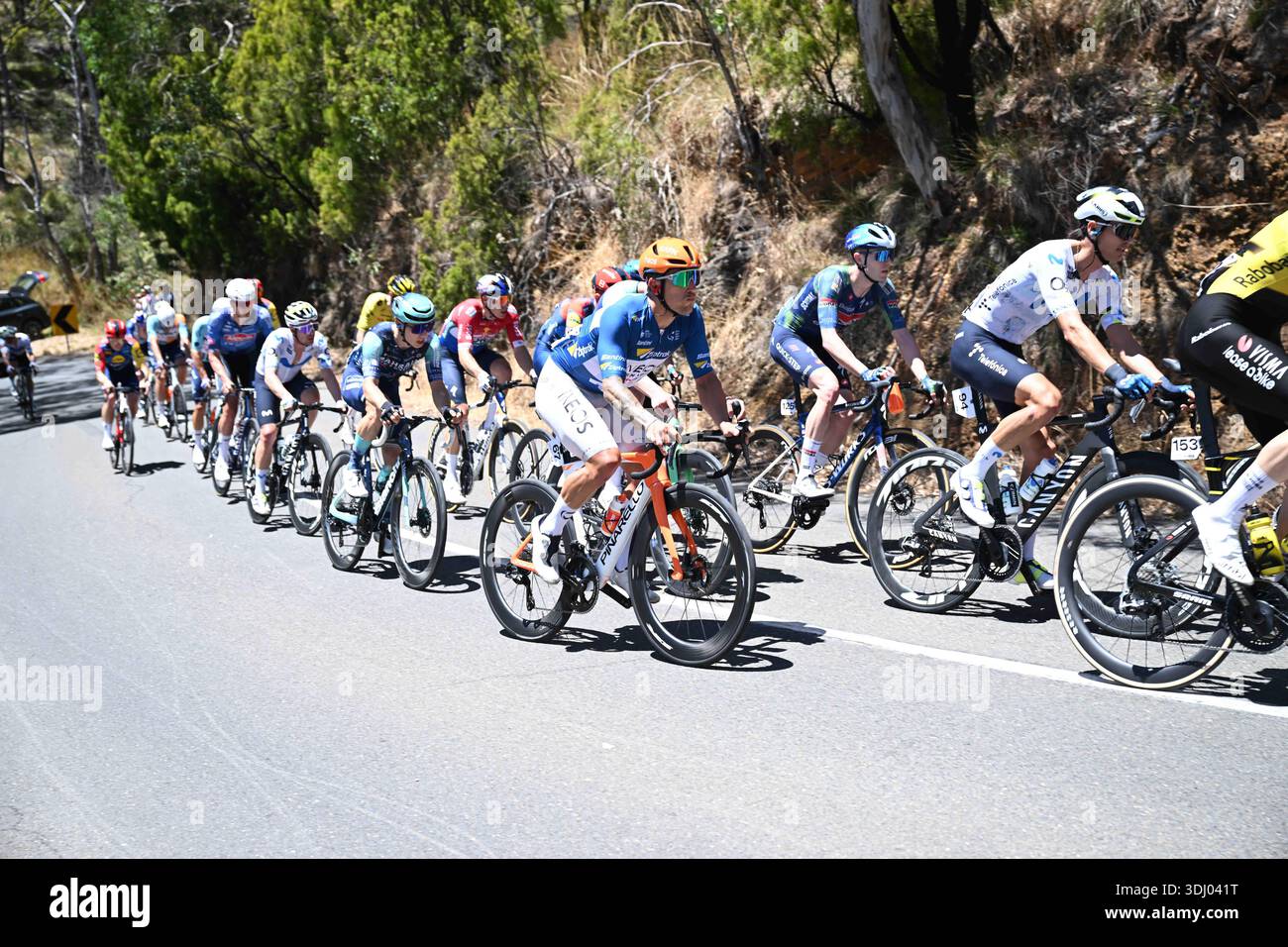 22-01-2026 Tour Down Under; Tappa 02 Norwood - Uraidla; 2026, Ineos ...