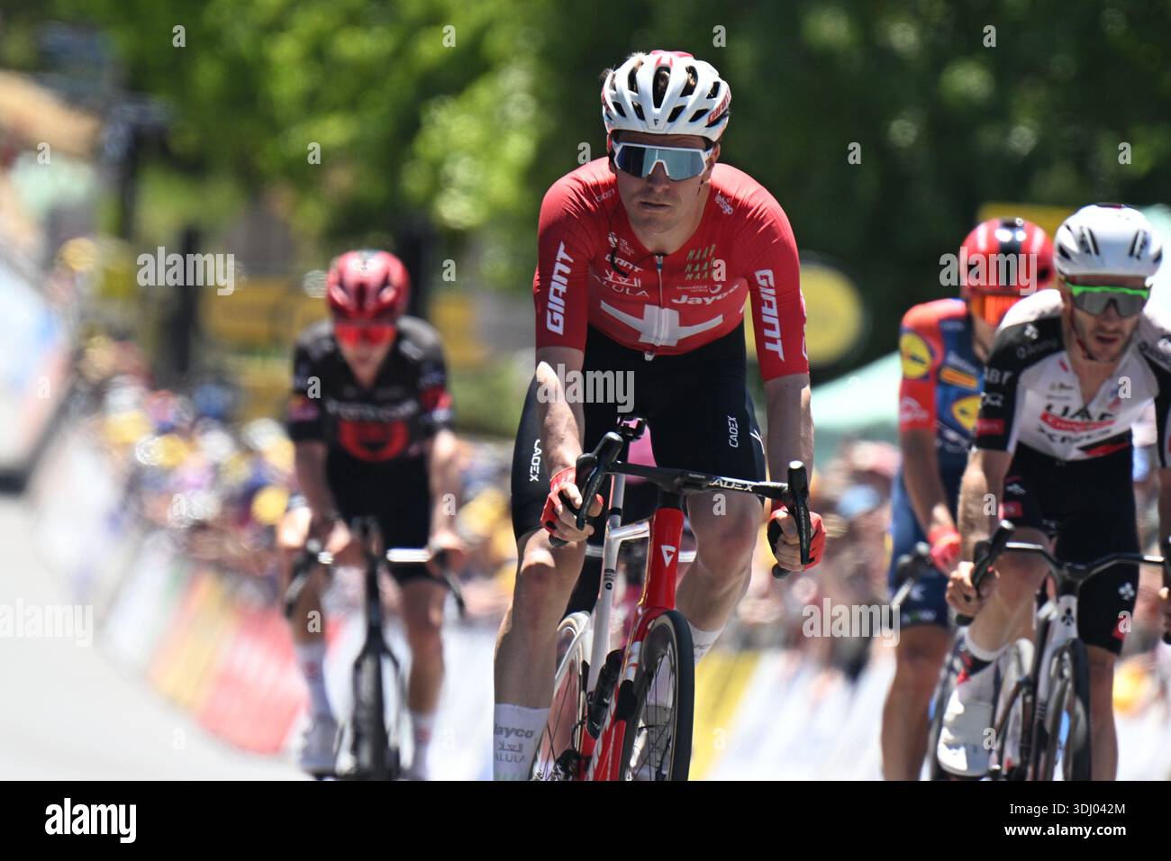 22-01-2026 Tour Down Under; Tappa 02 Norwood - Uraidla; 2026, Jayco ...