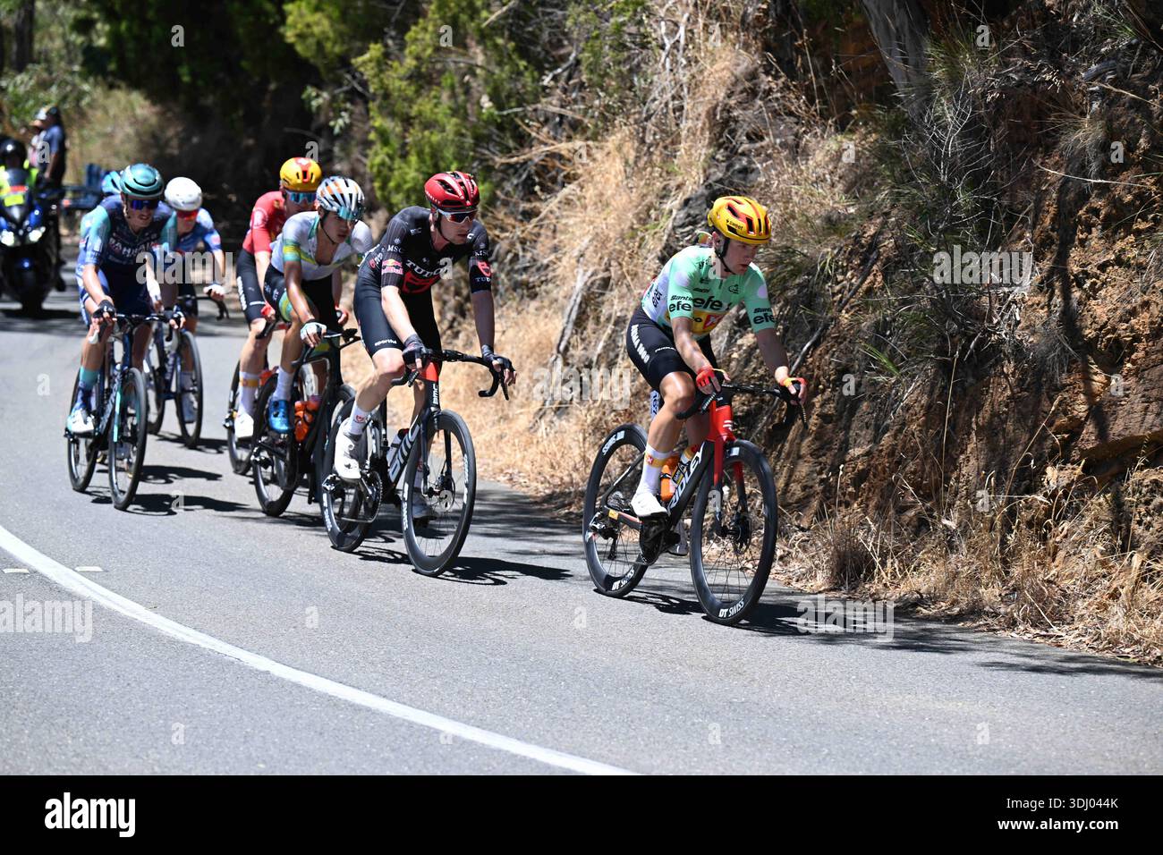 22-01-2026 Tour Down Under; Tappa 02 Norwood - Uraidla; 2026, Uno X ...