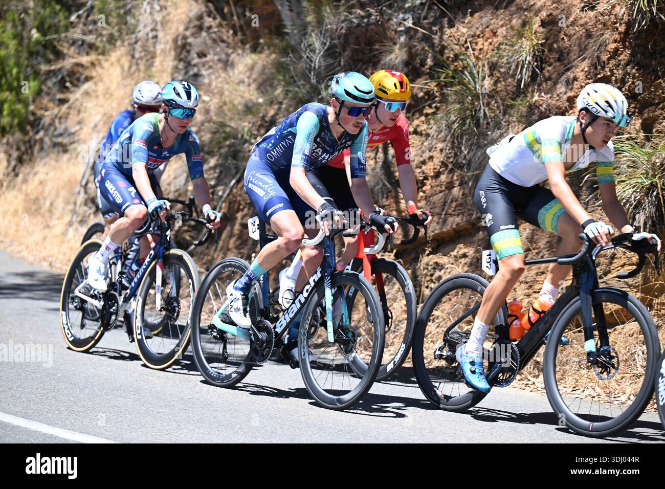 22-01-2026 Tour Down Under; Tappa 02 Norwood - Uraidla; 2026, Bahrain ...