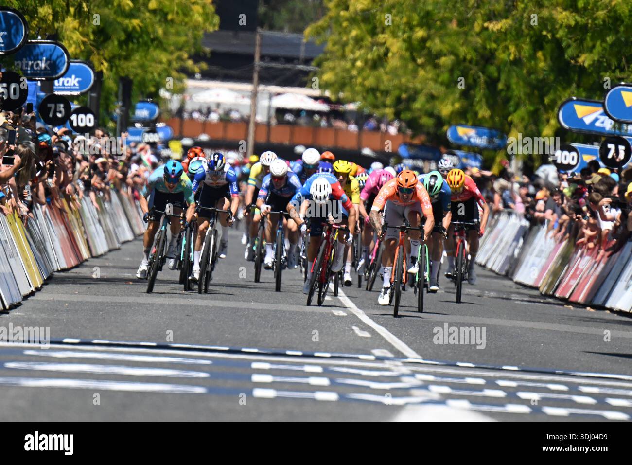23-01-2026 Tour Down Under; Tappa 03 Henley Beach - Nairne; 2026, Ineos ...