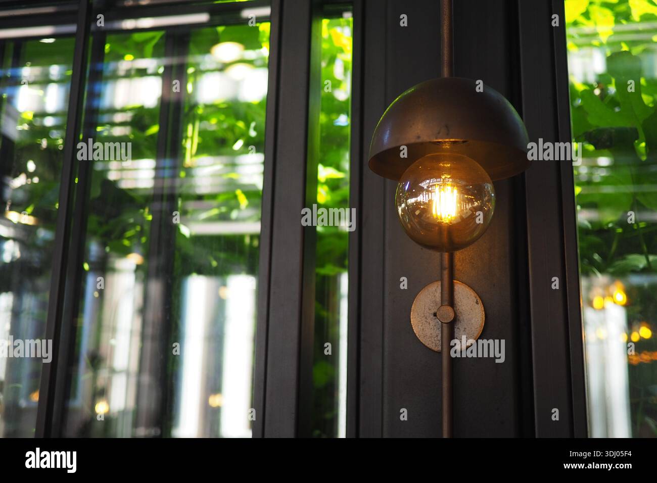 Light fixture shines in a modern indoor space with plants Stock Photo ...