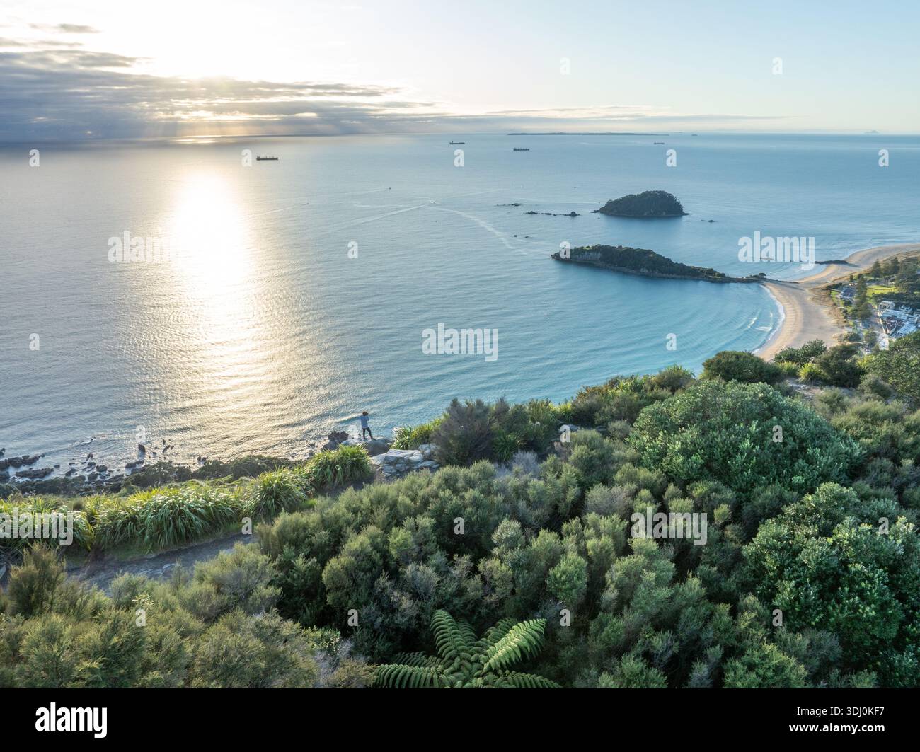 Aerial view of sun-kissed ocean meets sandy shores and lush greenery, a ...