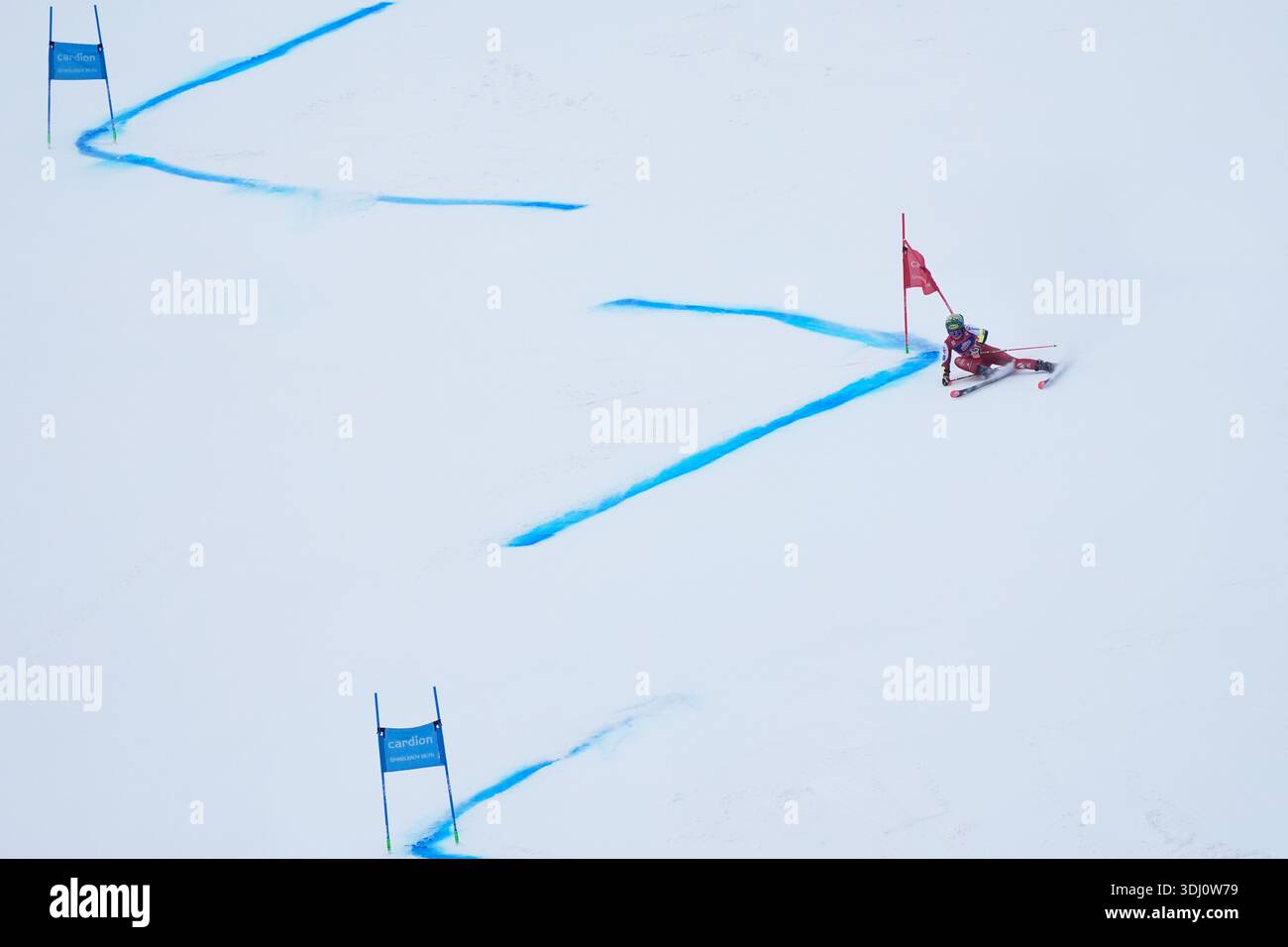 Austria's Julia Scheib speeds down the course during a women's World ...