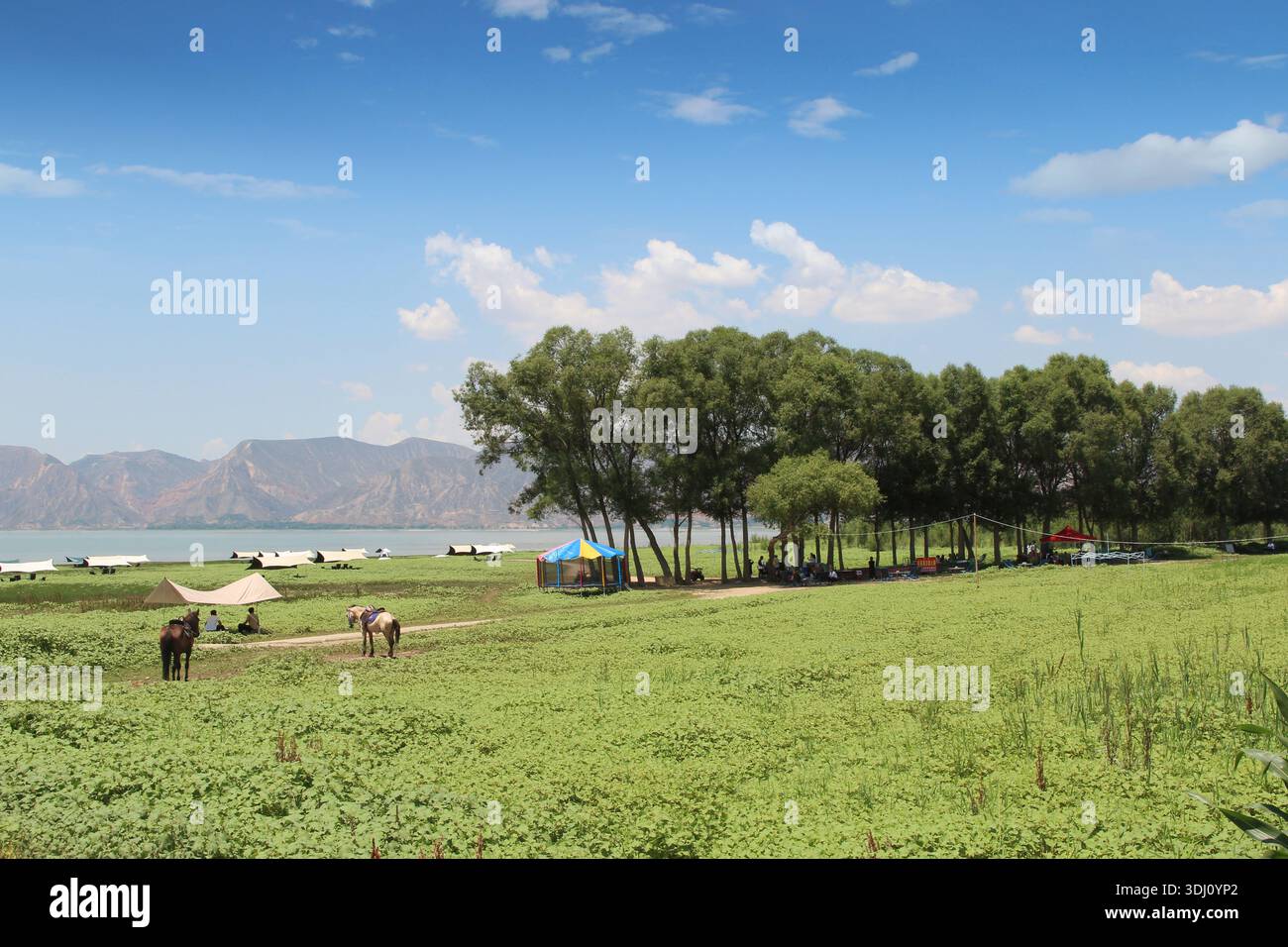Scenery of Liujiaxia Dam, upper Yellow River with horses and tents in ...