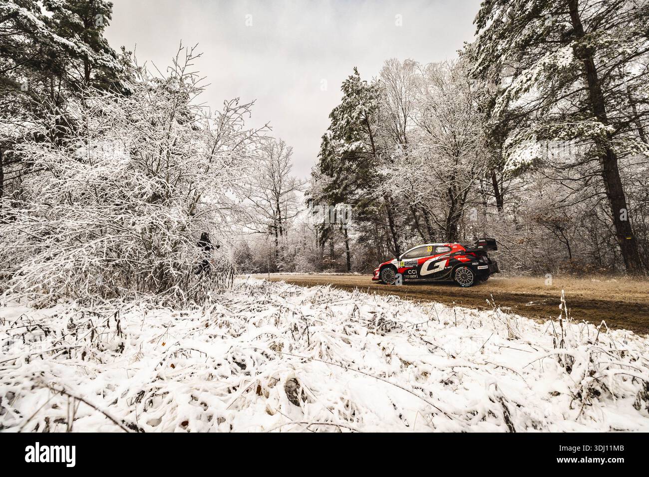 33 EVANS Elfyn, MARTIN Scott, Toyota GR Yaris Rally1, Toyota Gazoo ...
