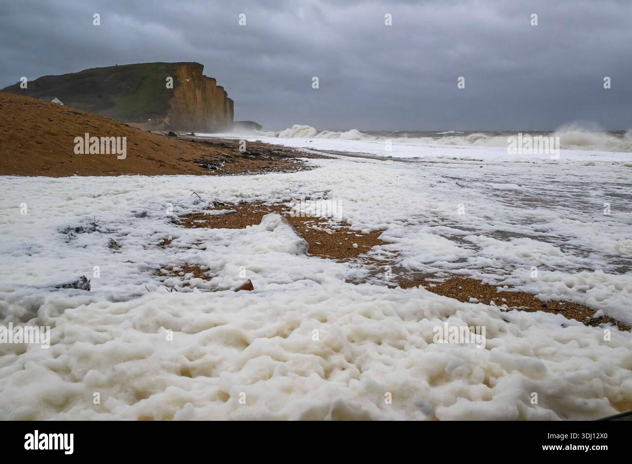 24th january 2026 hi-res stock photography and images - Alamy