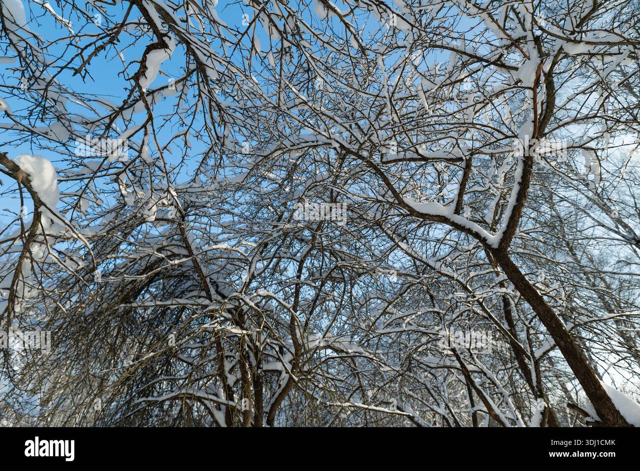 Atmospheric limb hi-res stock photography and images - Alamy