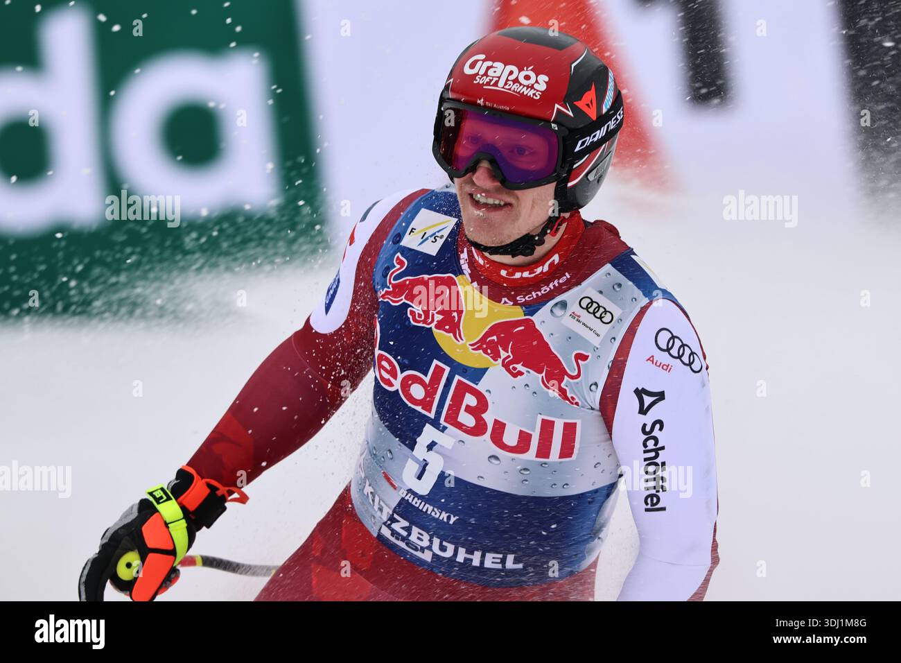 Austria's Stefan Babinsky at the finish area of a men's alpine ski ...