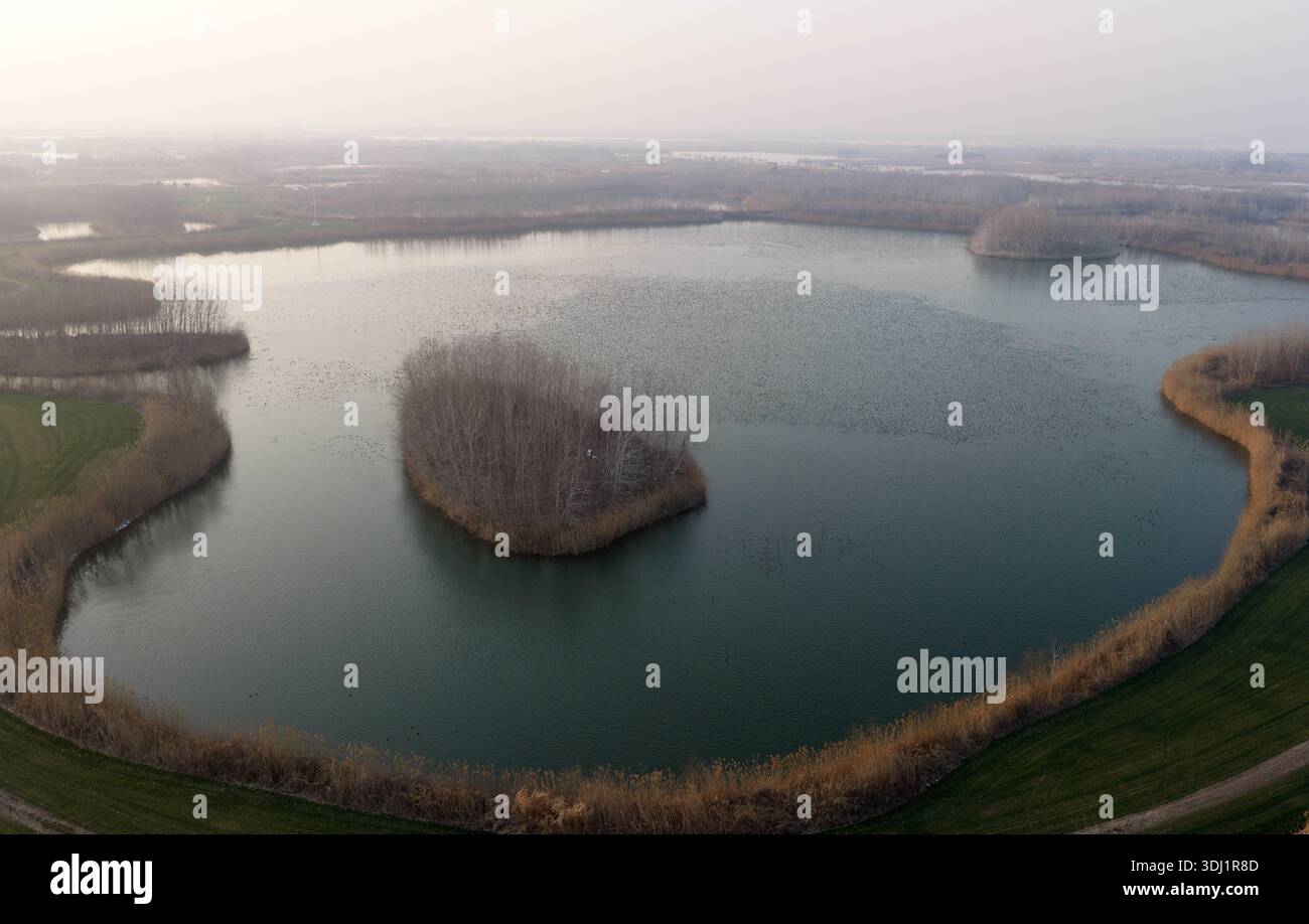 HUAI'AN, CHINA - JANUARY 24, 2026 - Migratory birds flying over Baimahu ...