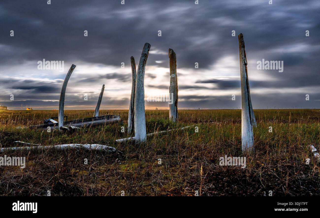 remnants of traditional whale bone dwellings in Old Town Point Hope, an ...