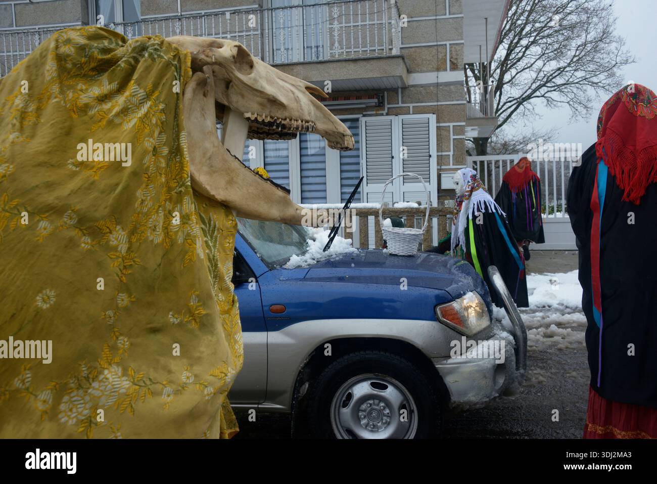 Presentation of the 'rinchona' or traditional Entroido mare in the ...