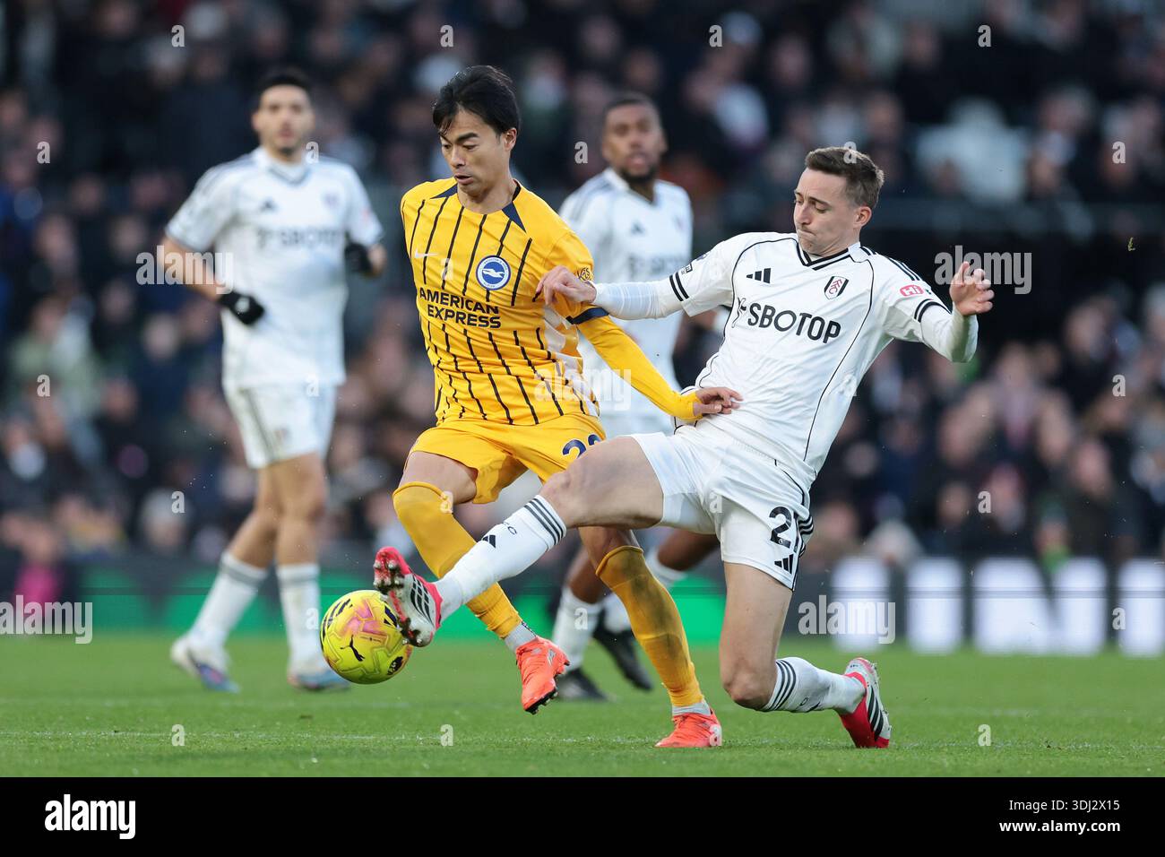 Brighton kaoru mitoma 2026 hi-res stock photography and images - Alamy