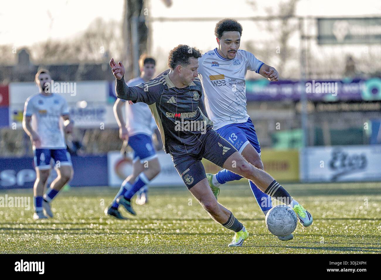 HOEK , 24-01-2026 , Sportpark Denoek, season 2025 / 2026 , Dutch Tweede ...