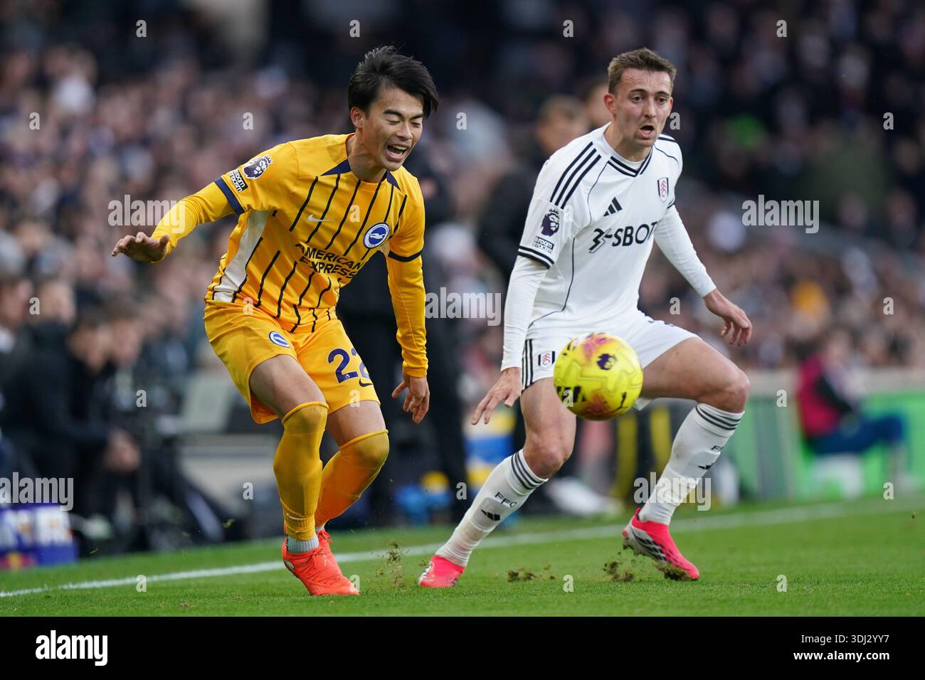 Kaoru Mitoma of Brighton & Hove Albion under pressure from Timothy ...
