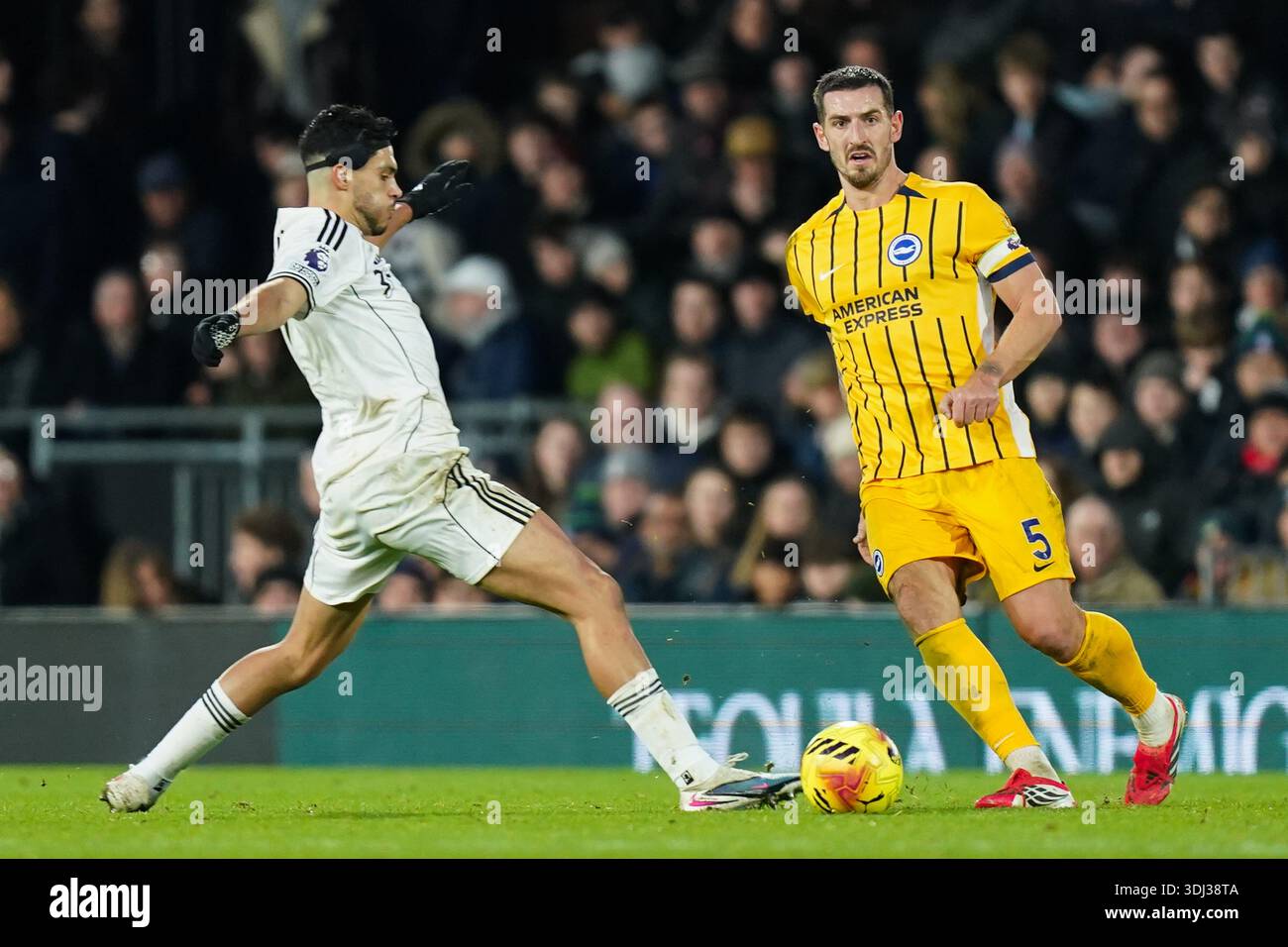 Lewis Dunk of Brighton & Hove Albion under pressure from Raúl Jiménez ...
