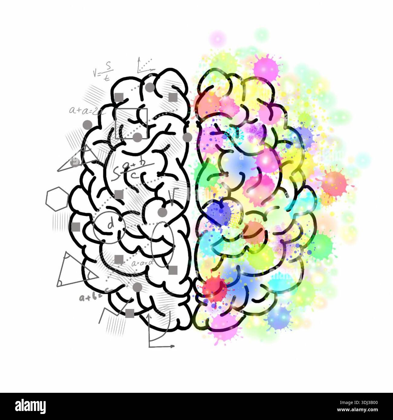 Creative and analytical brain split illustration showing logic on left ...