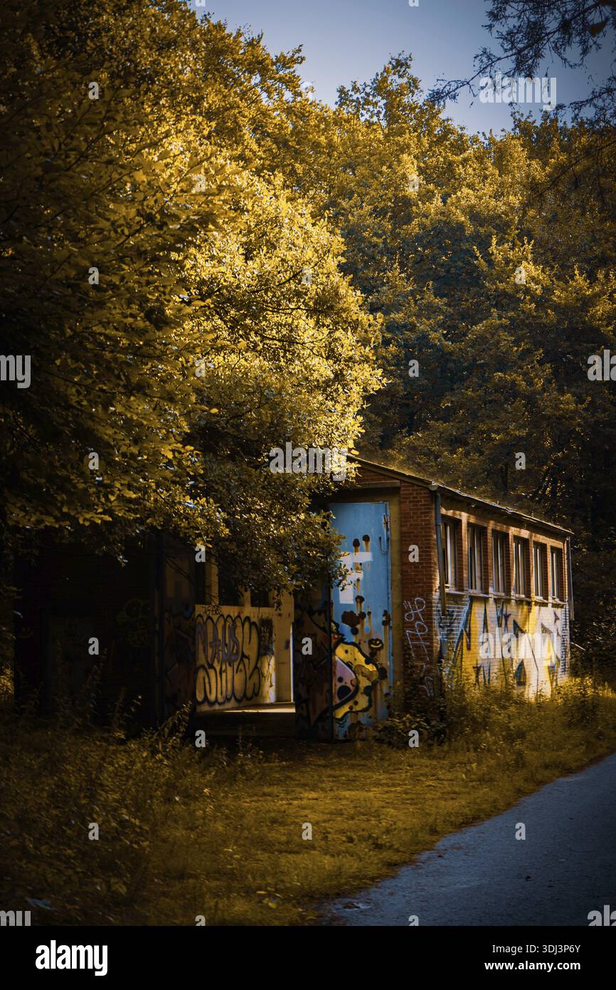 Former building with graffiti in the forest, urban decay on publicly ...