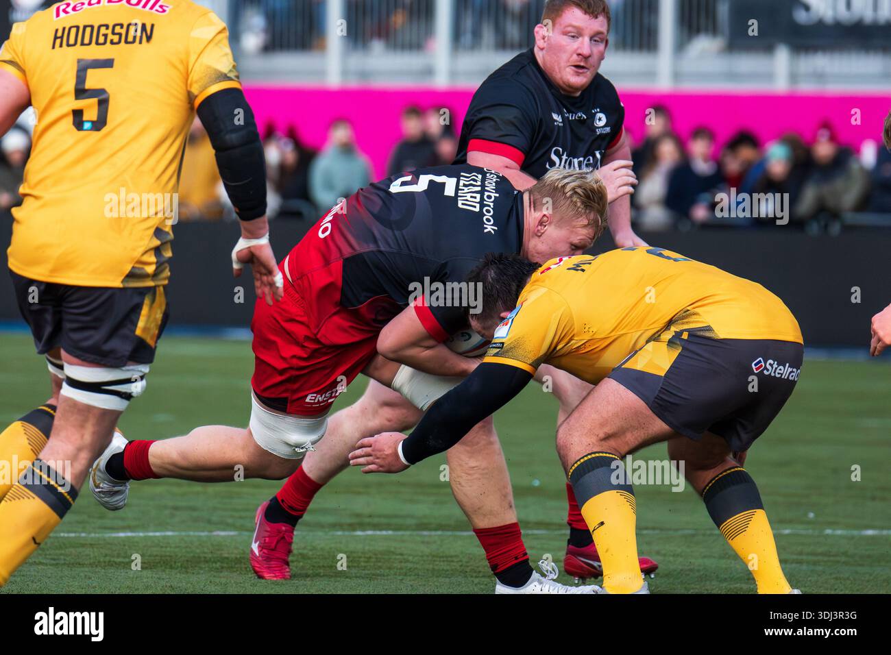 London, UK, 24th January 2026 Newcastle Red Bulls hooker and captain ...