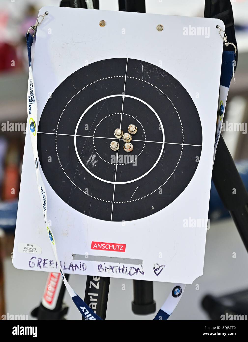 Biathlon target during the Biathlon World Cup race (mixed relay), Nove ...