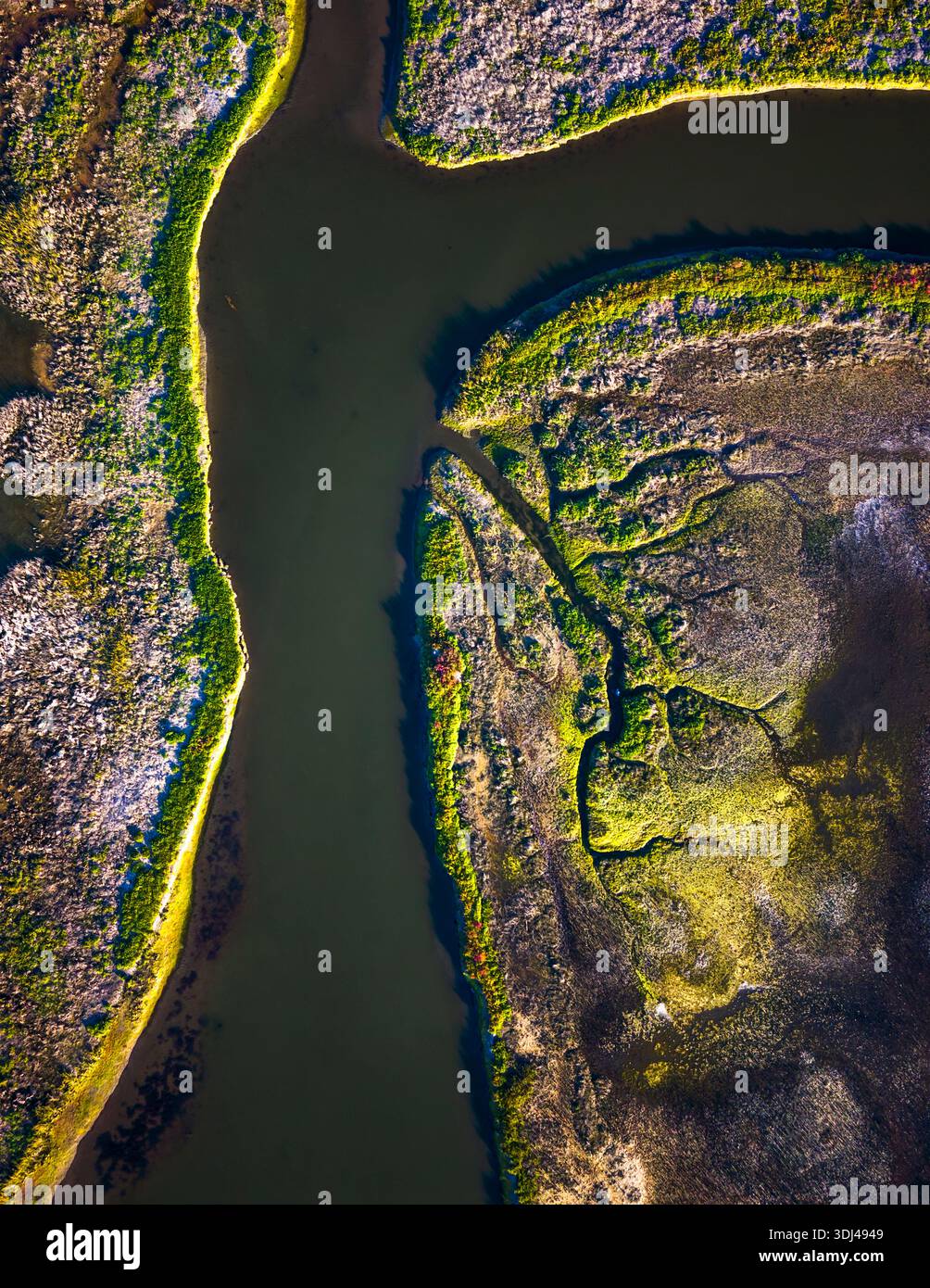 Top down aerial view of rivers and waterways in a California estuary ...