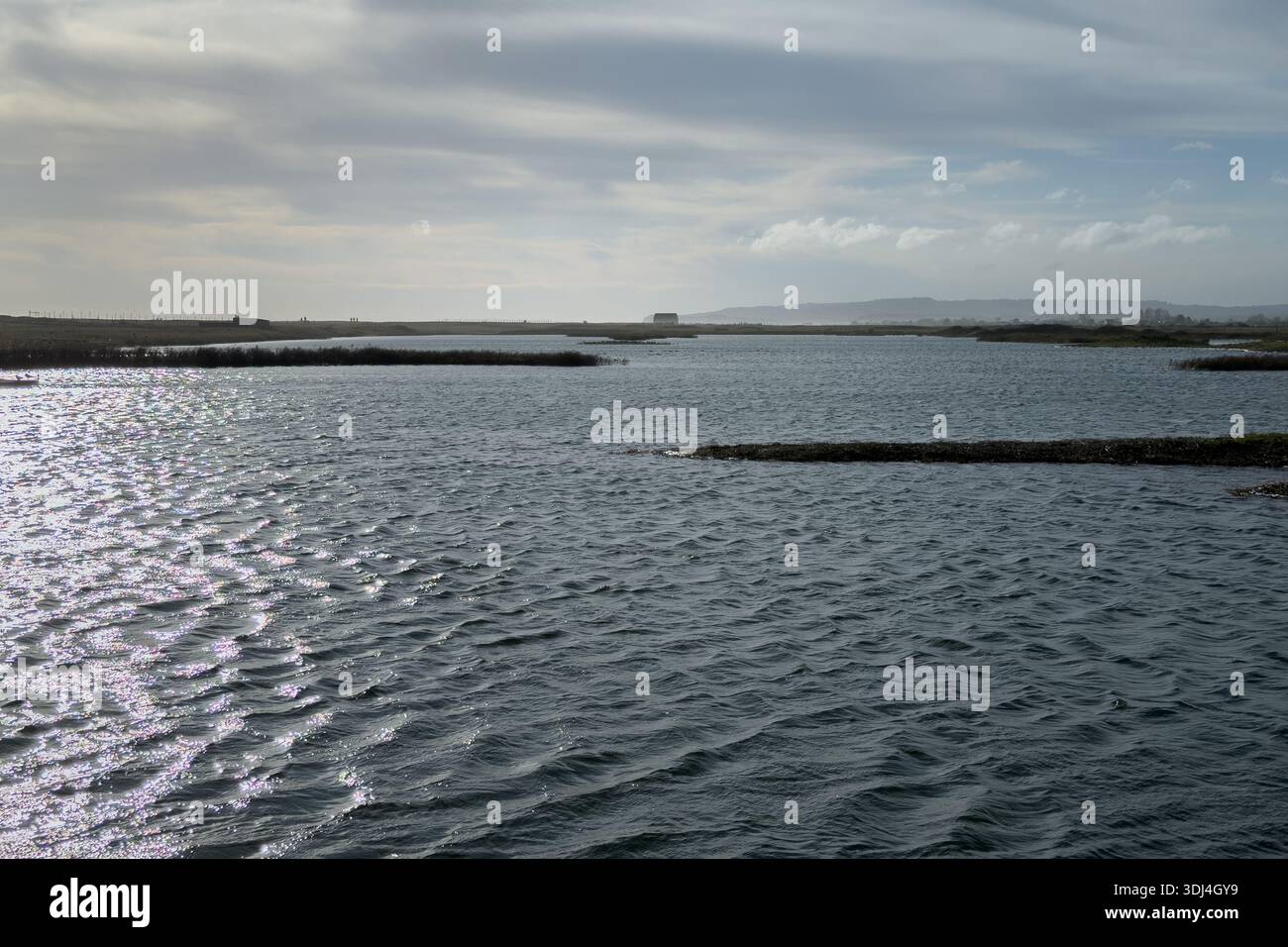 Sunlight shimmers across estuary waters at Rye Nature Reserve, where ...