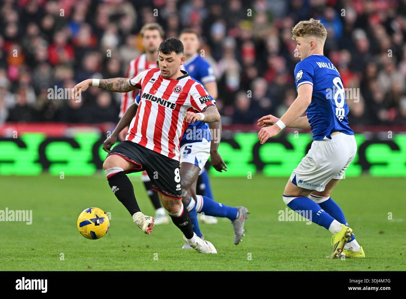 Sheffield United's Gustavo Hamer during the Sky Bet Championship match ...