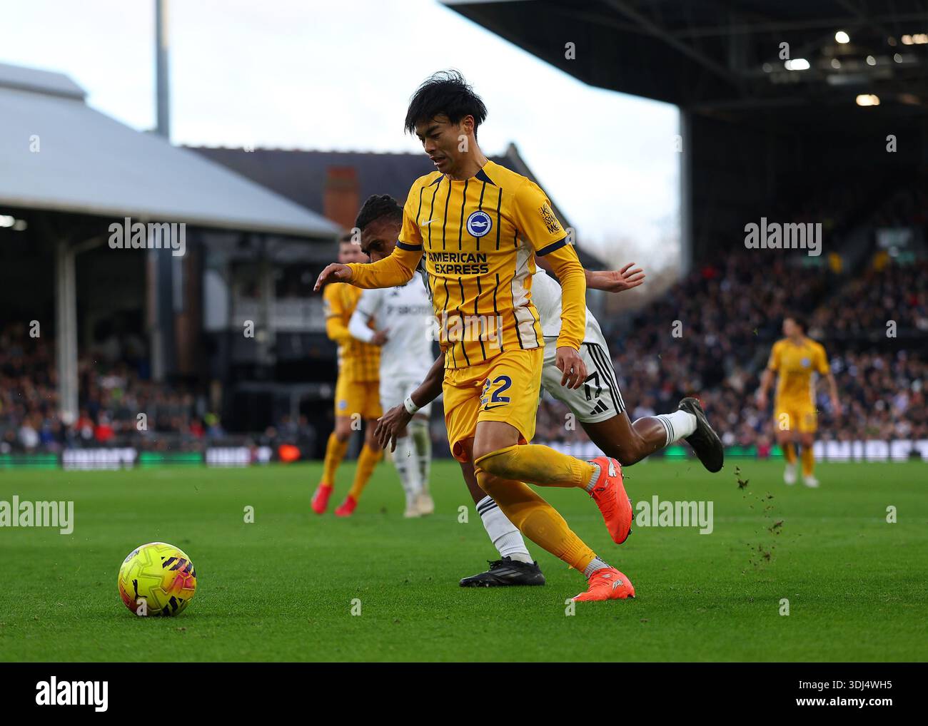 Brighton kaoru mitoma 2026 hi-res stock photography and images - Alamy