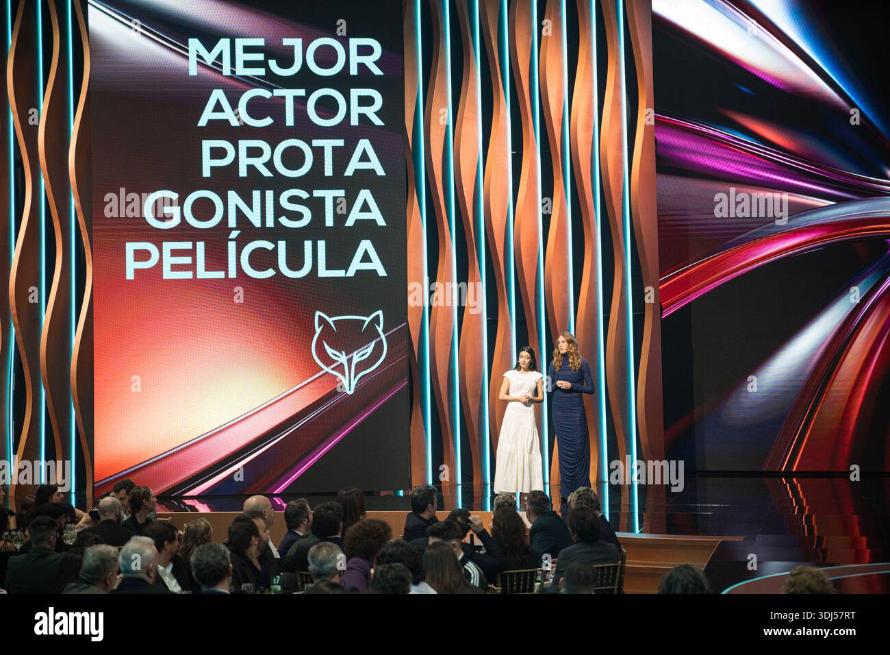 Actress María Castro during the Feroz Awards 2026 gala, at the Pazo da ...