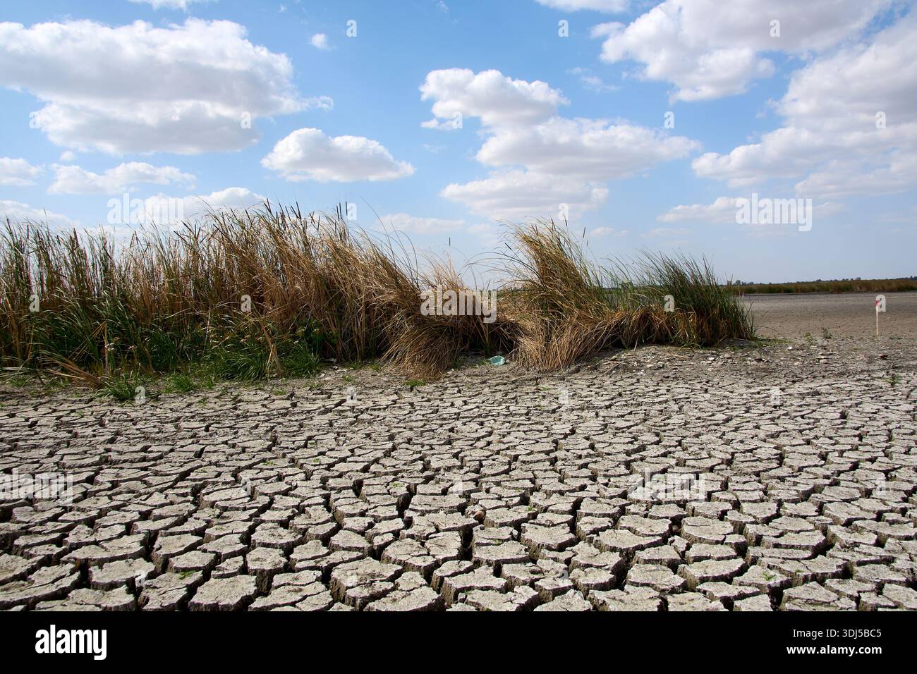 Drought and drying up of lakes a global problem, Lake Comana Stock ...
