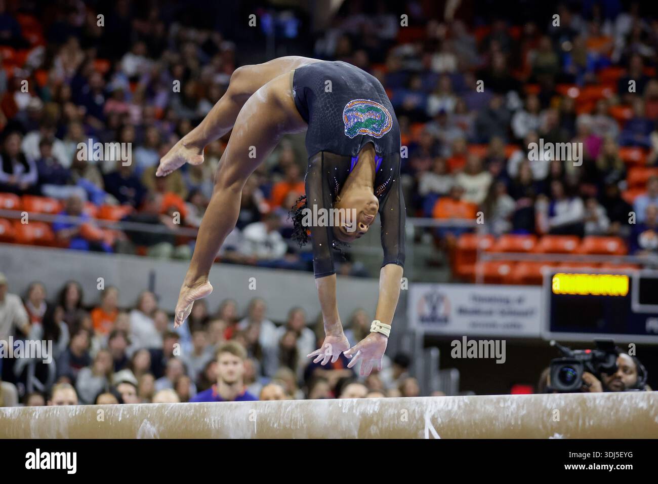 Florida's Alyssa Arana competes on the balance beam during an NCAA ...