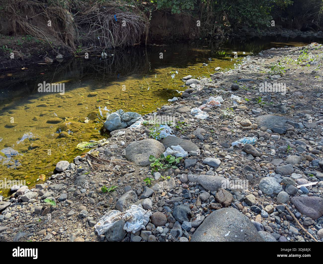 Contaminated river habitats hi-res stock photography and images - Alamy