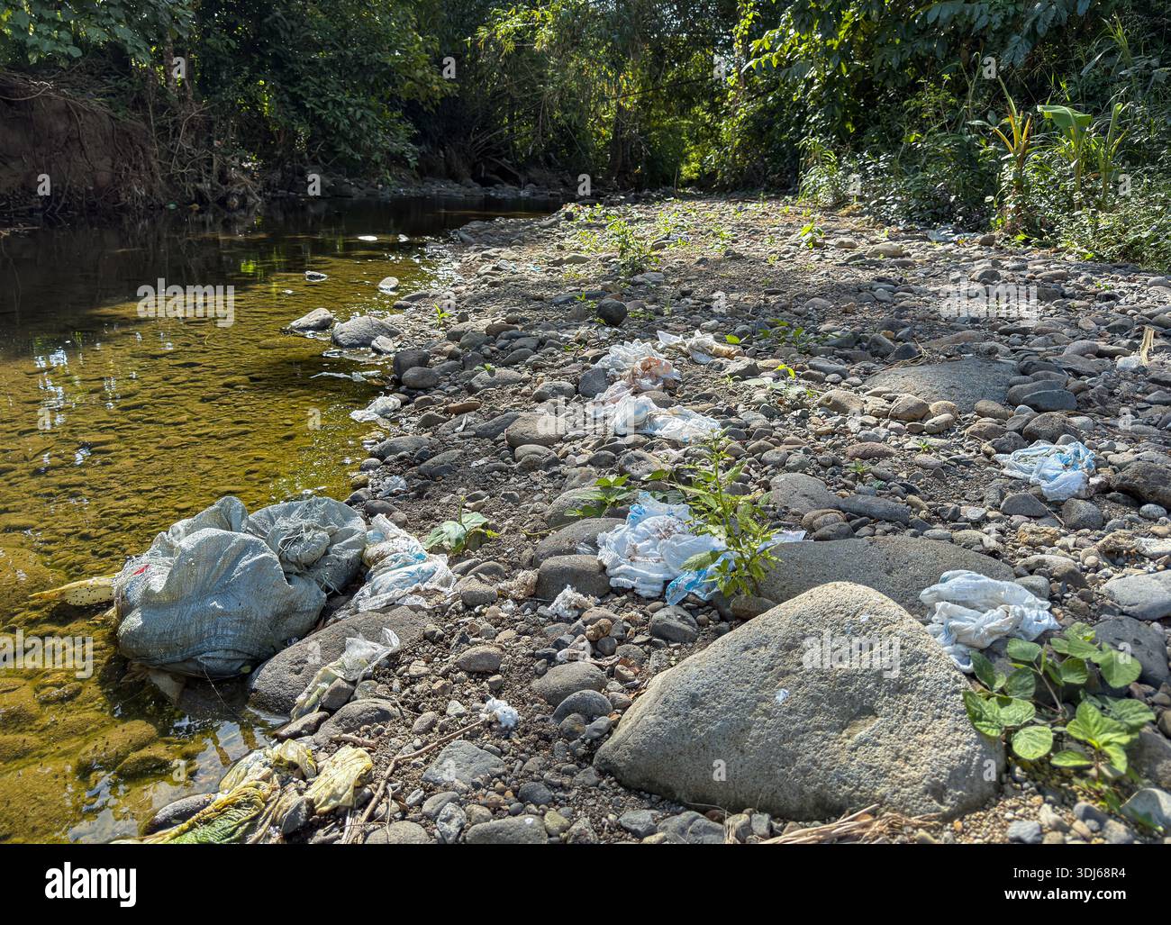Contaminated river habitats hi-res stock photography and images - Alamy