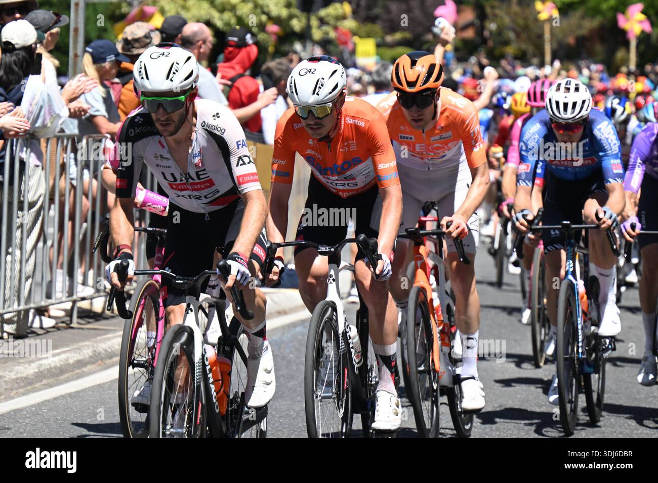 25-01-2026 Tour Down Under; Tappa 05 Stirling - Stirling; 2026, Uae ...
