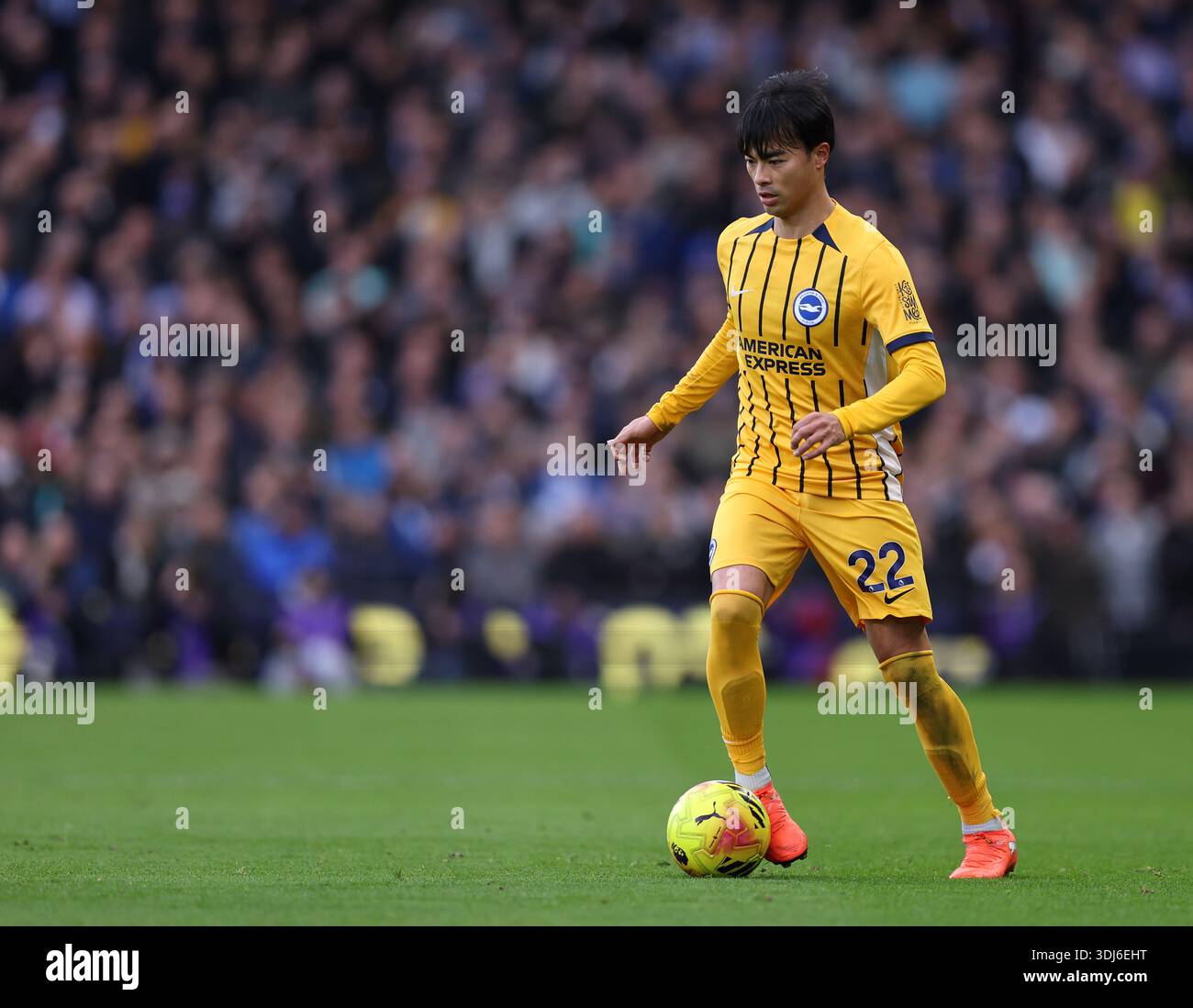 Brighton kaoru mitoma 2026 hi-res stock photography and images - Alamy
