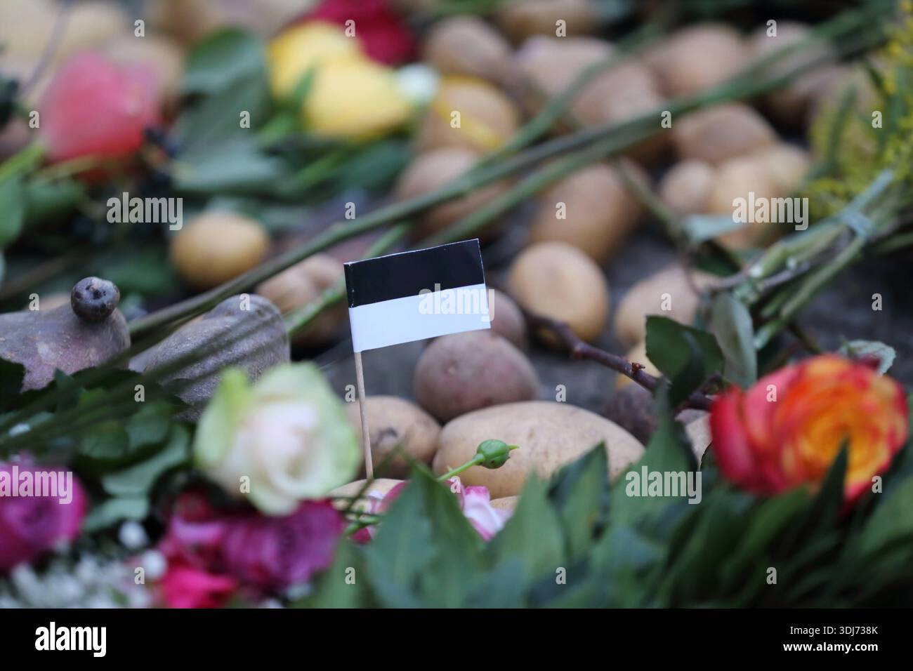Kartoffeln, Blumen und kleine Preußenfahnen am Grab Friedrichs des ...