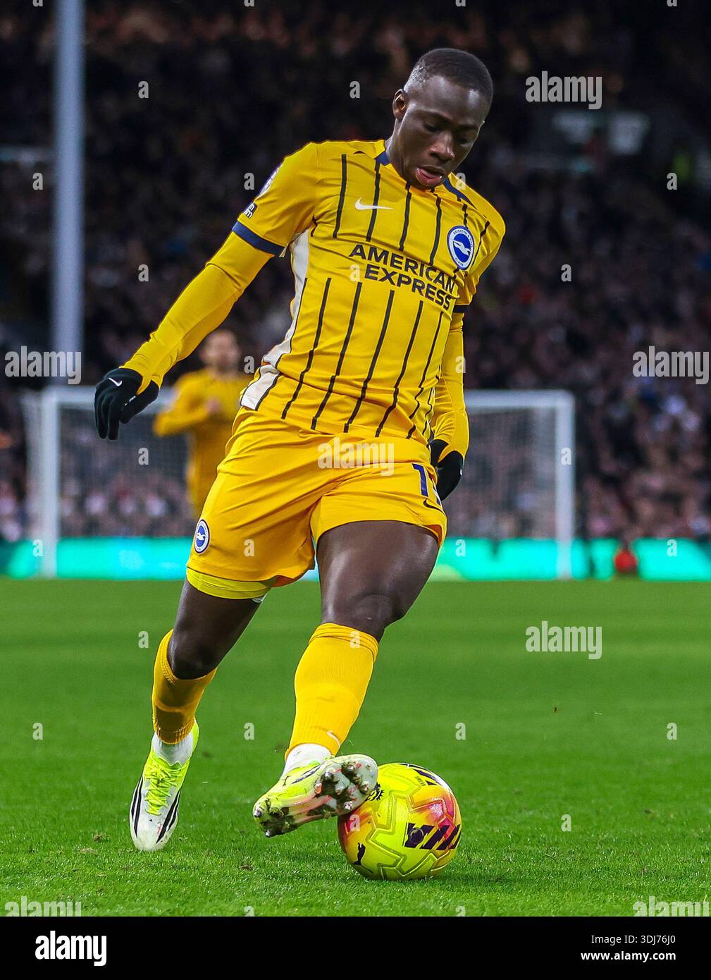 Brighton and Hove Albion's Yankuba Minteh during the Premier League ...