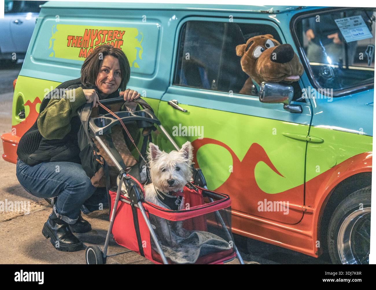 Stafford, Staffordshire, UK. 24th Jan 2026. At the Staffordshire County ...
