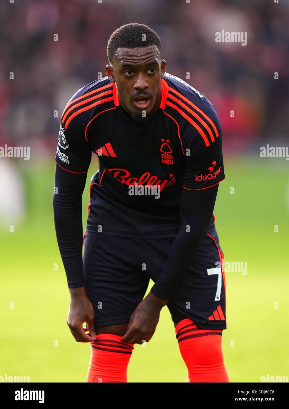 Nottingham Forest's Callum Hudson-Odoi during the Premier League match ...