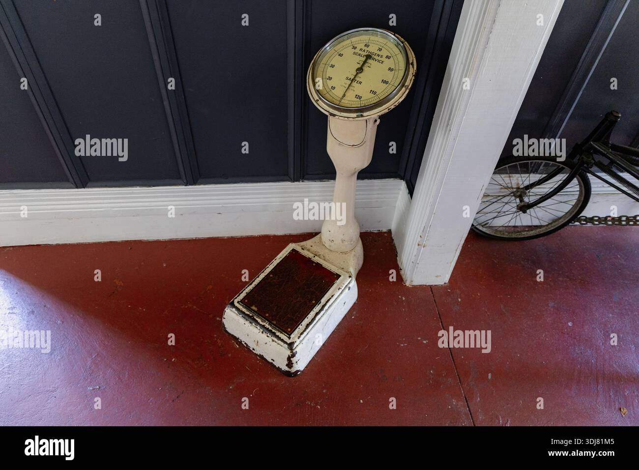 Salter springs hi-res stock photography and images - Alamy