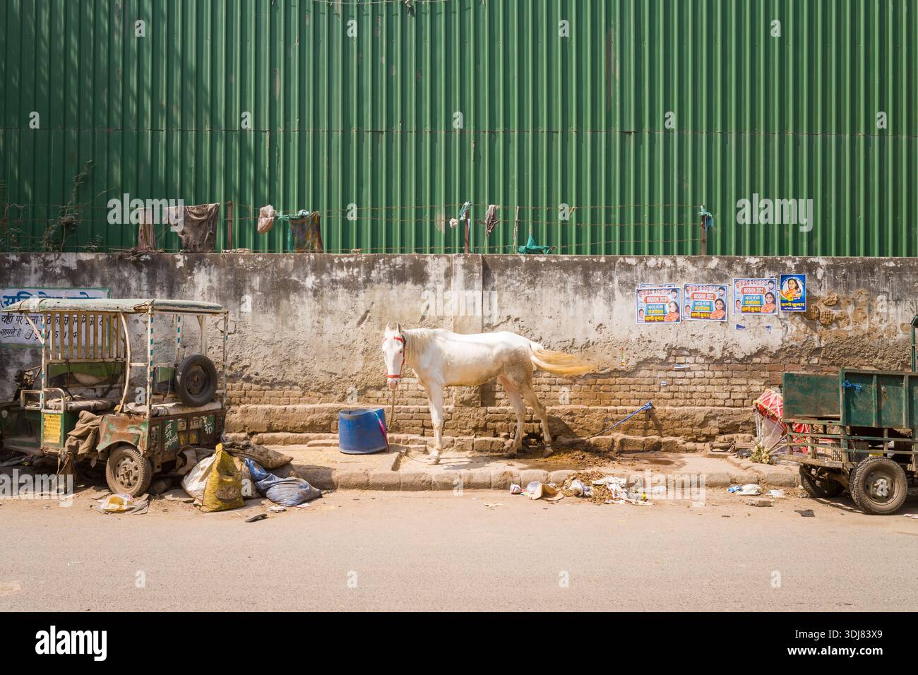 Horse cart next city hi-res stock photography and images - Alamy