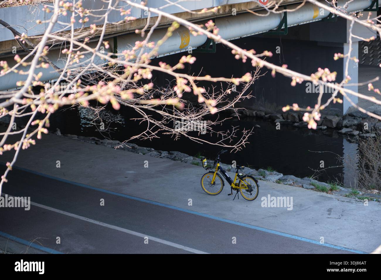 Cycling infrastructure korea hi-res stock photography and images - Alamy