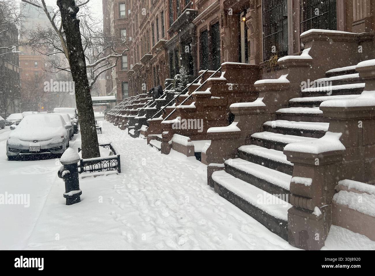 25 January 2026, USA, New York: A completely snow-covered street in ...